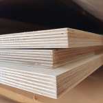 Balsa - Websters Timber