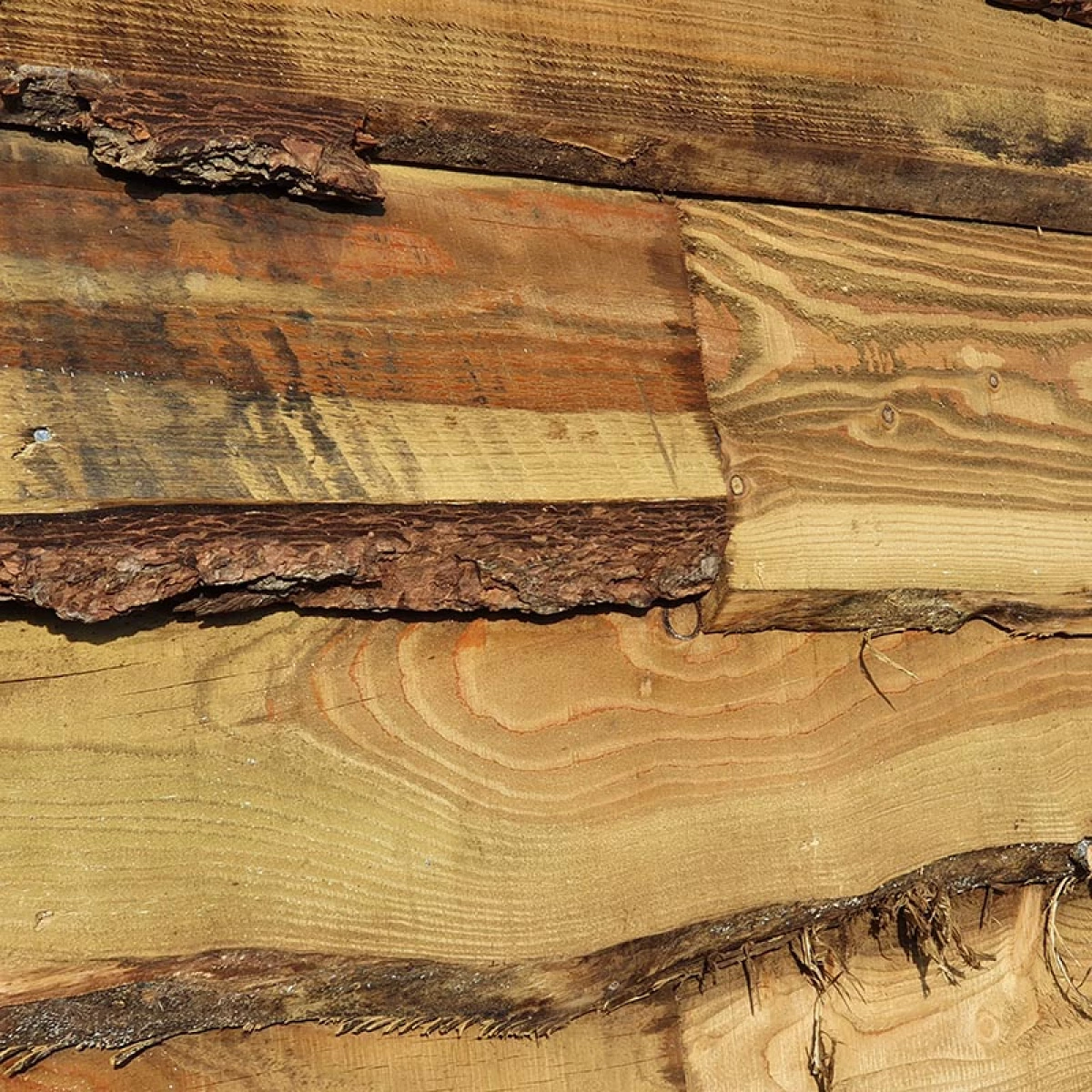 Larch Lap - Websters Timber
